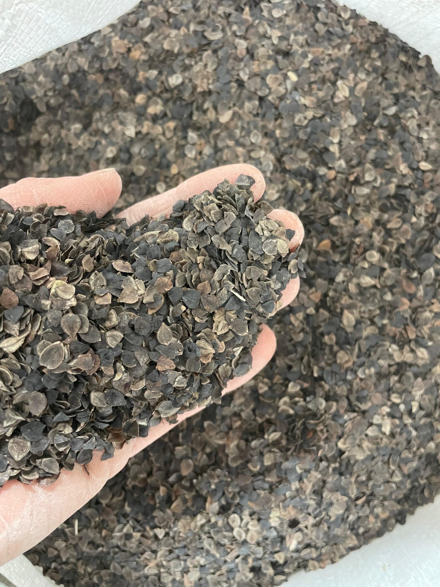 Buckwheat Hulls - Adagio Acres